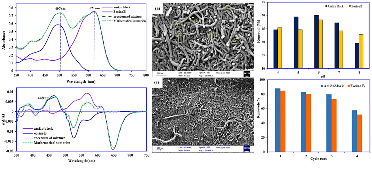 Effective Removal of Amido Black and Eosin B Dyes in Aqueous Solution by MWCNT/ZrO2/Pb ...